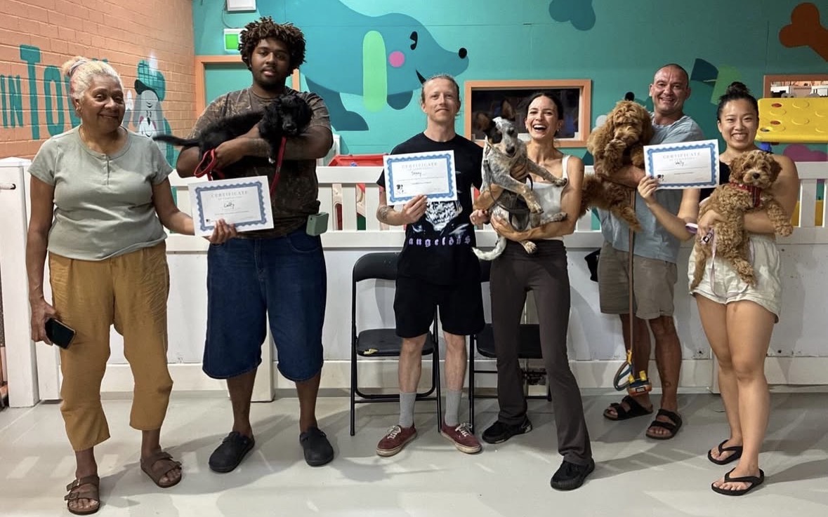 Puppy Training in Zetland - Puppy School - Eazy Dog Training